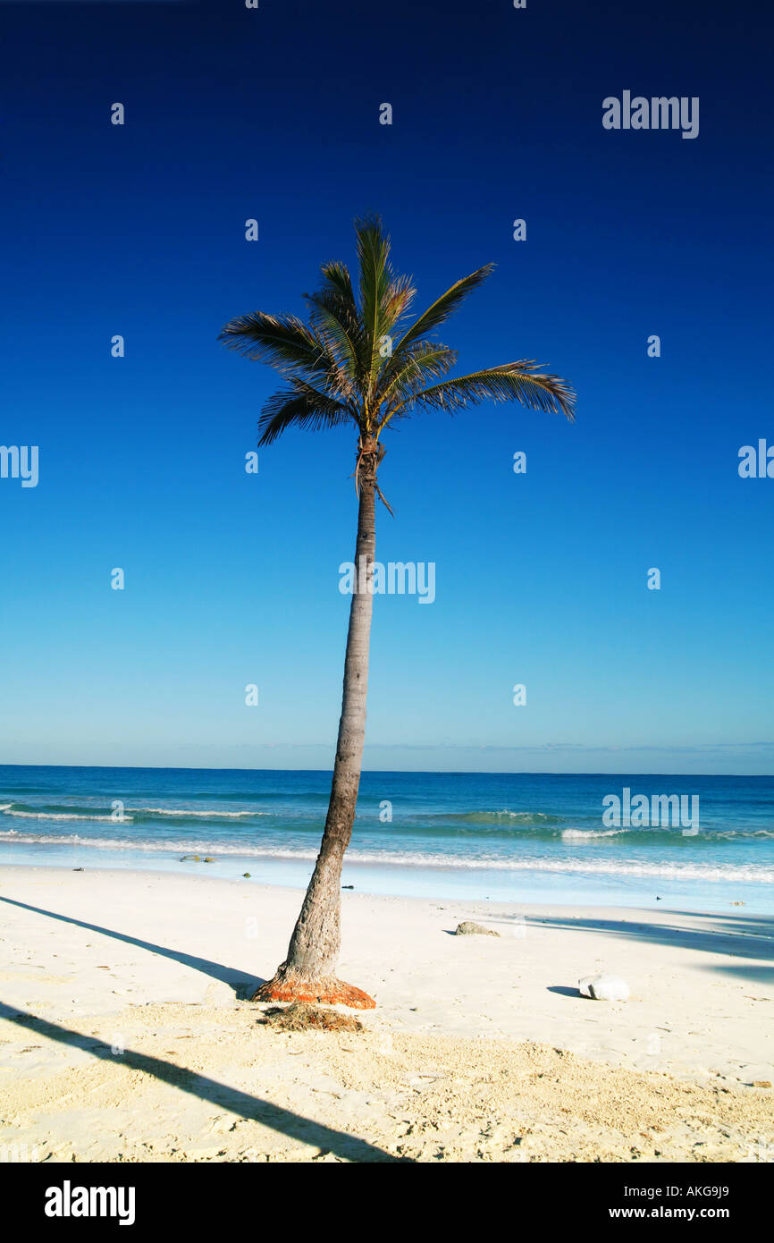 a beautiful tropical island scene Stock Photo - Alamy