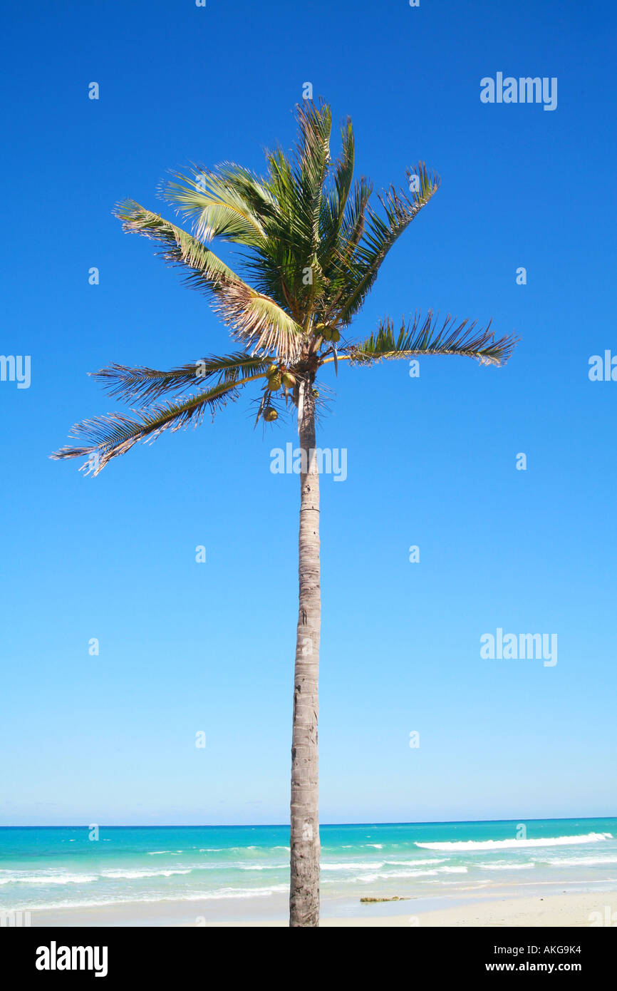 a beautiful tropical island scene Stock Photo - Alamy