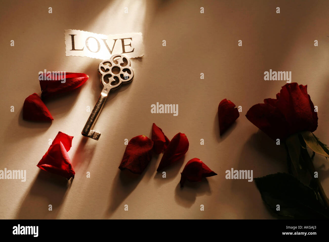 Loves sweet roses hi-res stock photography and images - Alamy