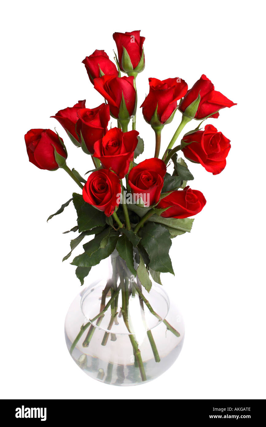 Dozen Red Roses in Vase Stock Photo - Alamy