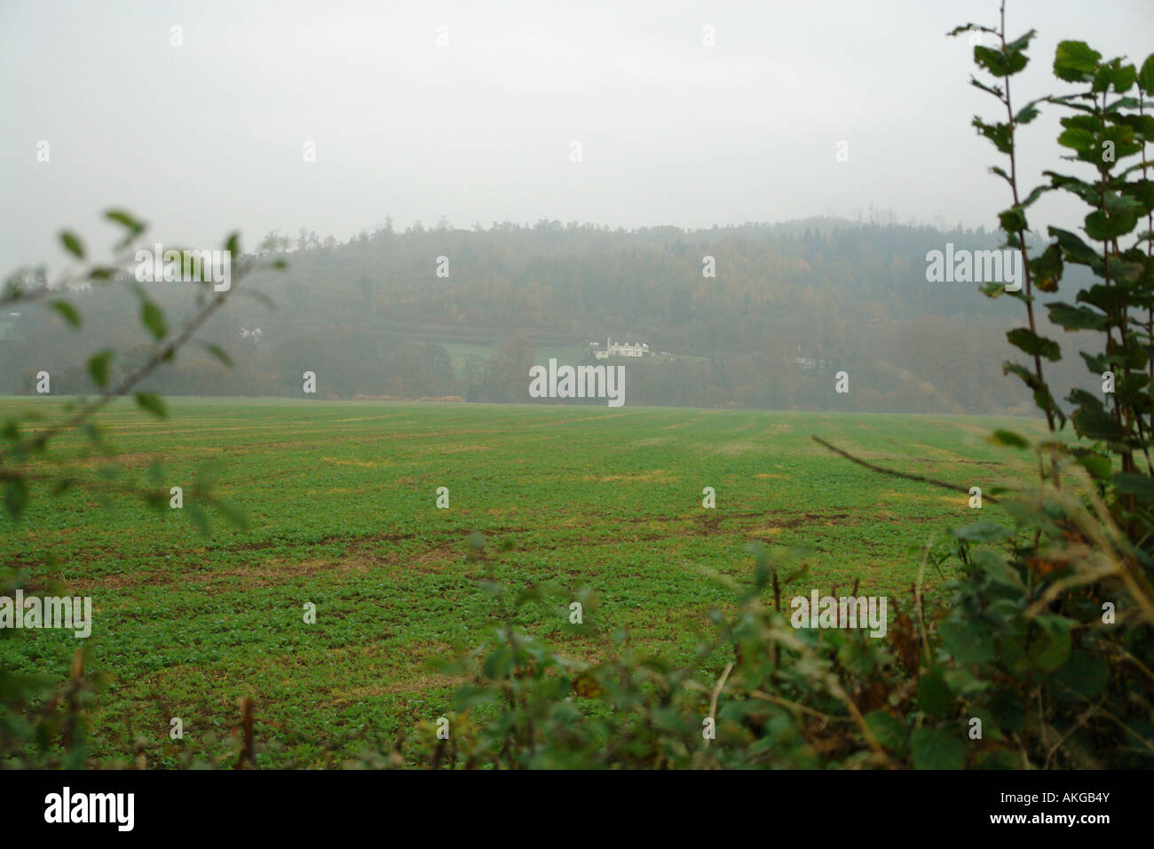Draethen south wales hi-res stock photography and images - Alamy