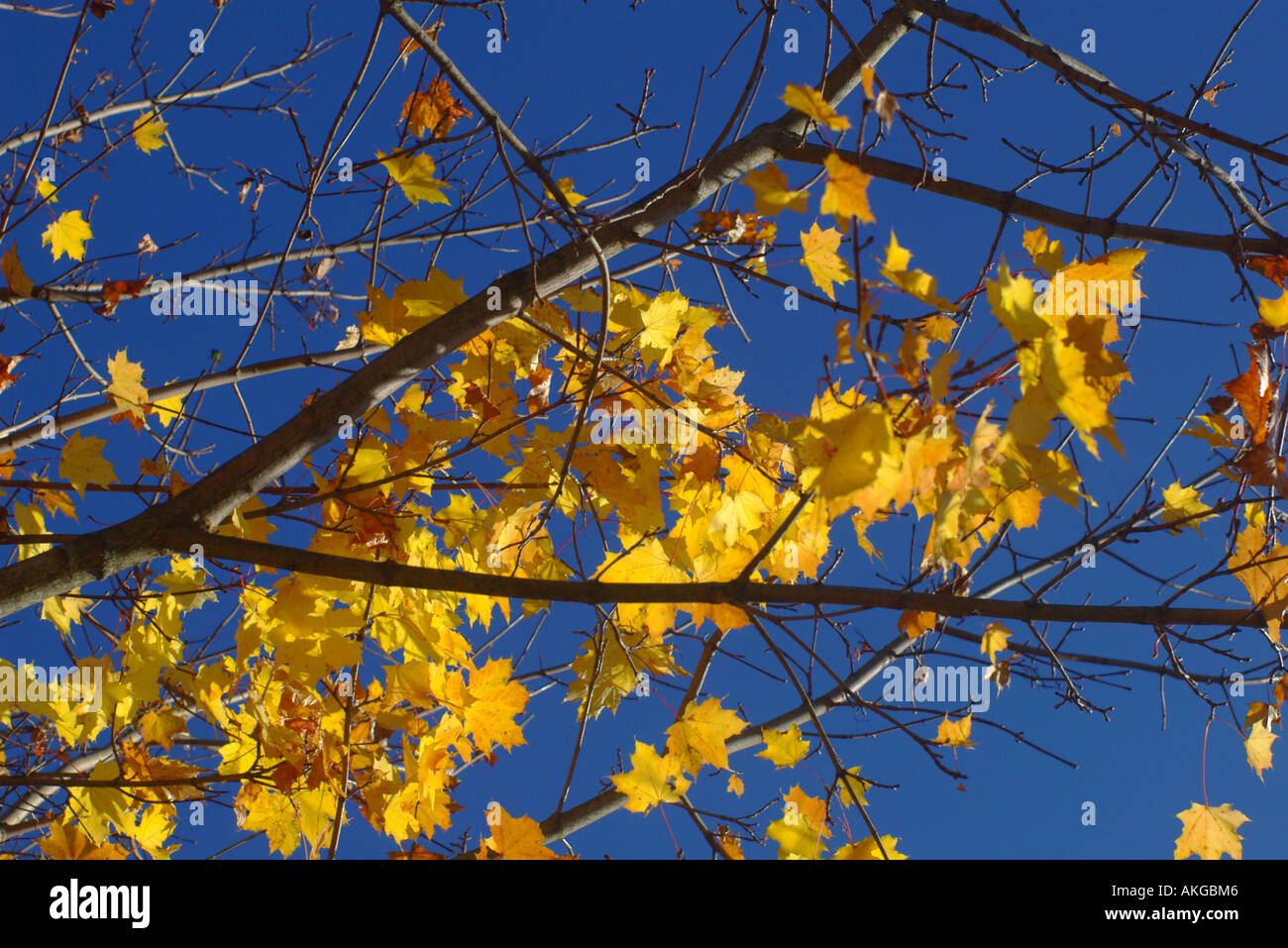 Moode hi-res stock photography and images - Alamy