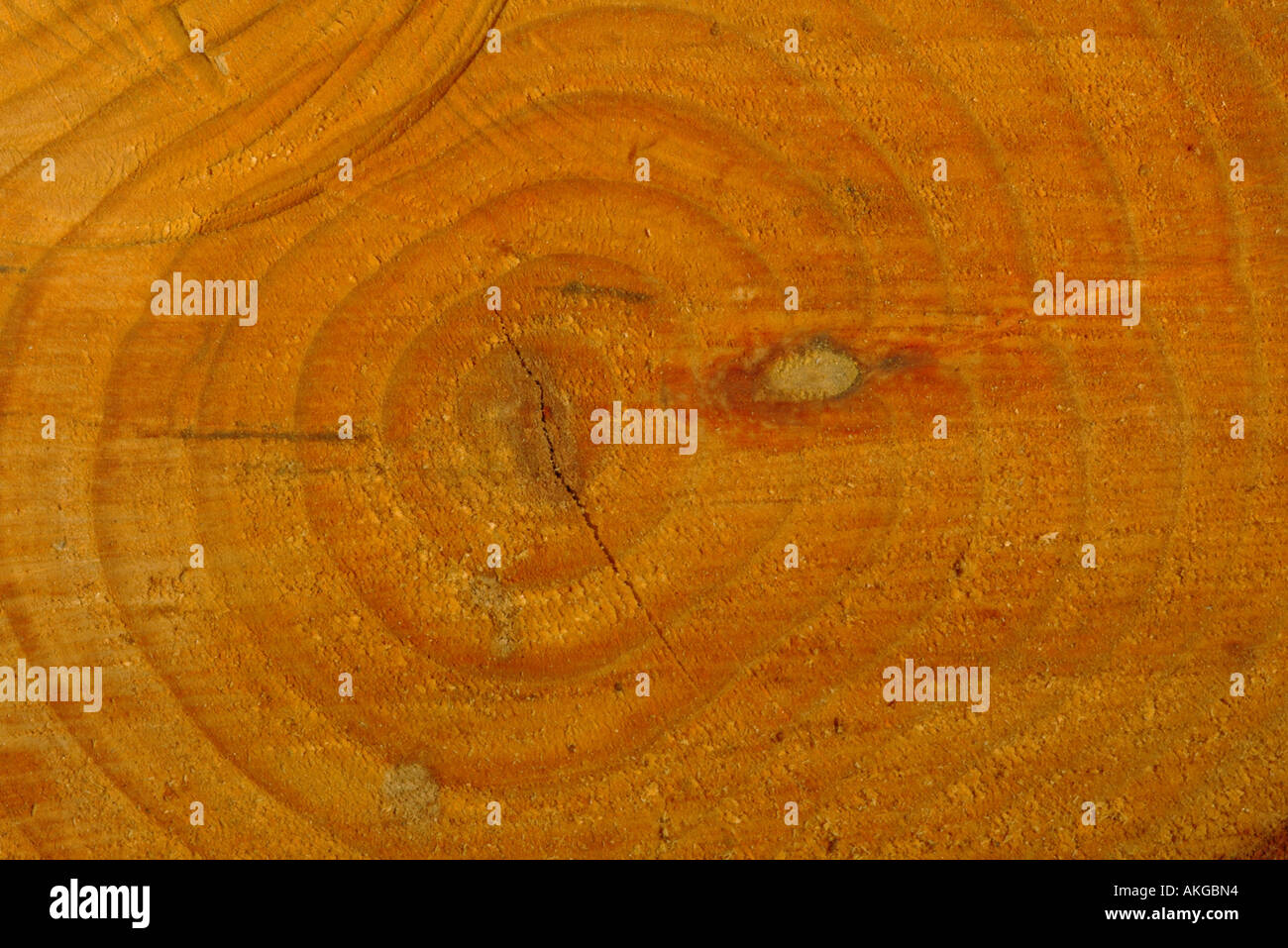 Sewed hi-res stock photography and images - Alamy