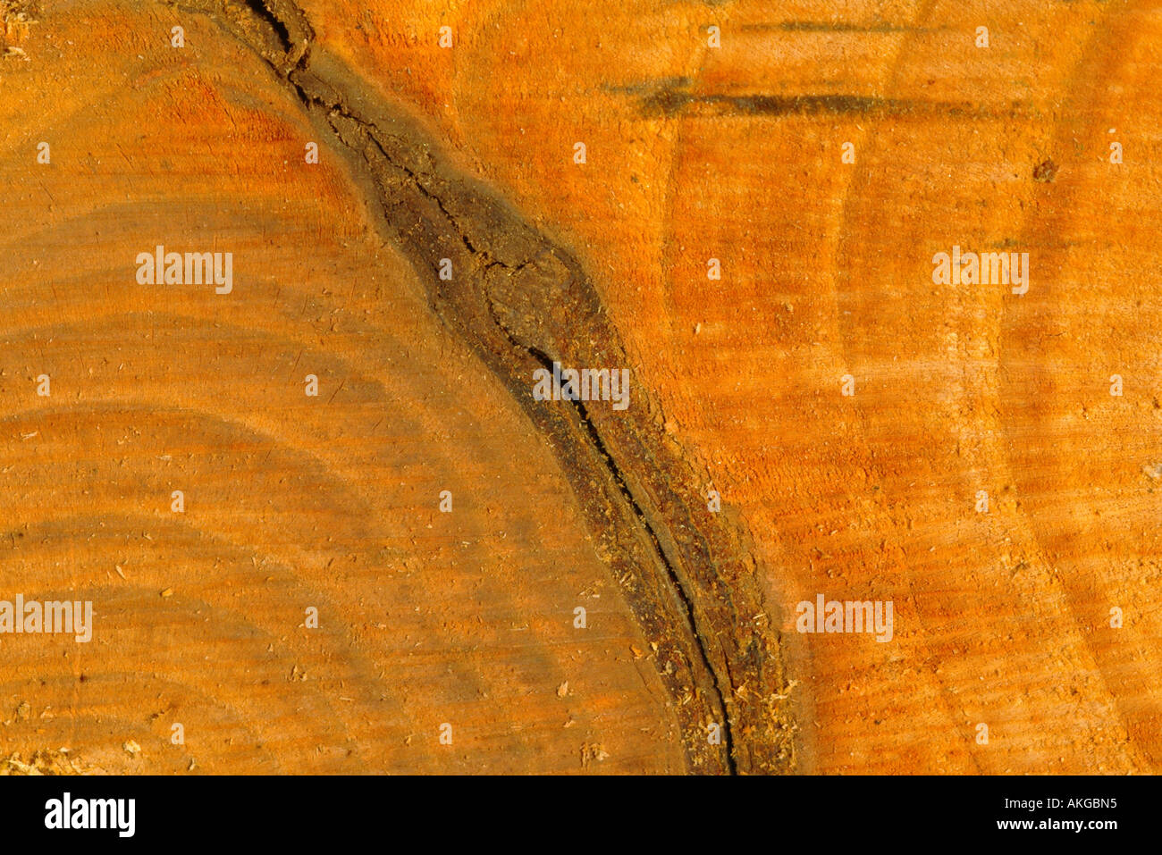 Sewed hi-res stock photography and images - Alamy