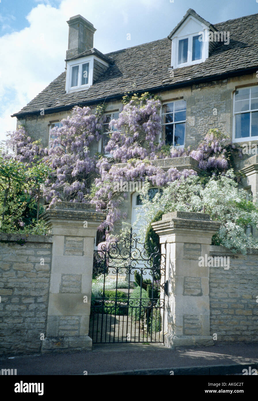 Mauve wisteria climbing on stone country house with wrought iron gate ...