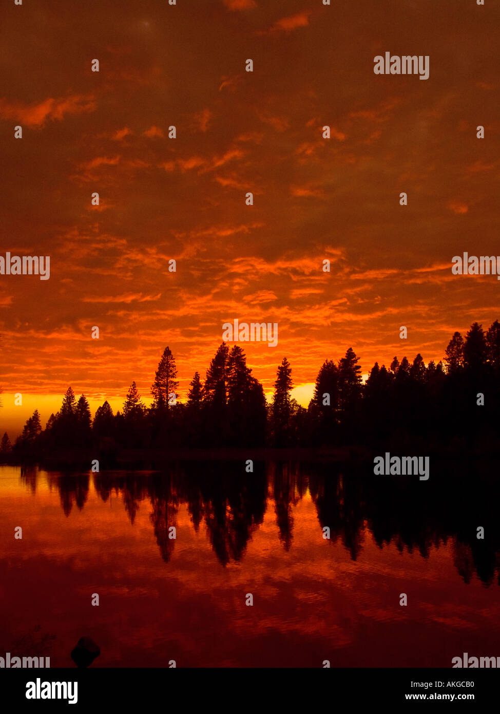 Sabla hi-res stock photography and images - Alamy