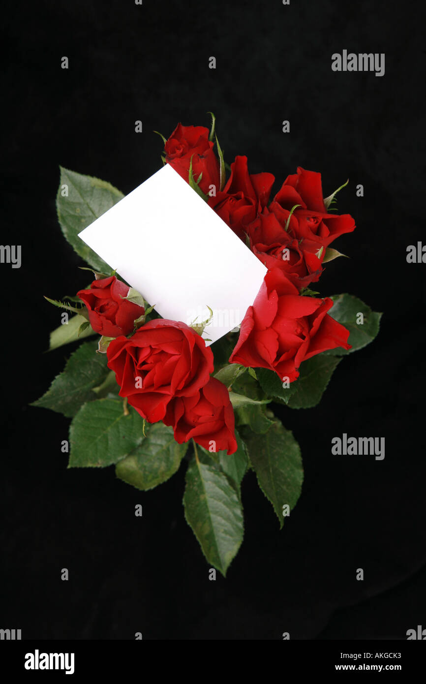 roses with a message Stock Photo - Alamy