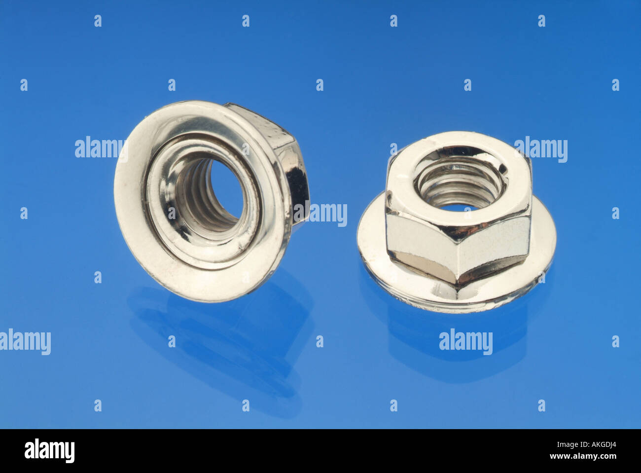 Chrome Carp nuts on a blue background Stock Photo - Alamy