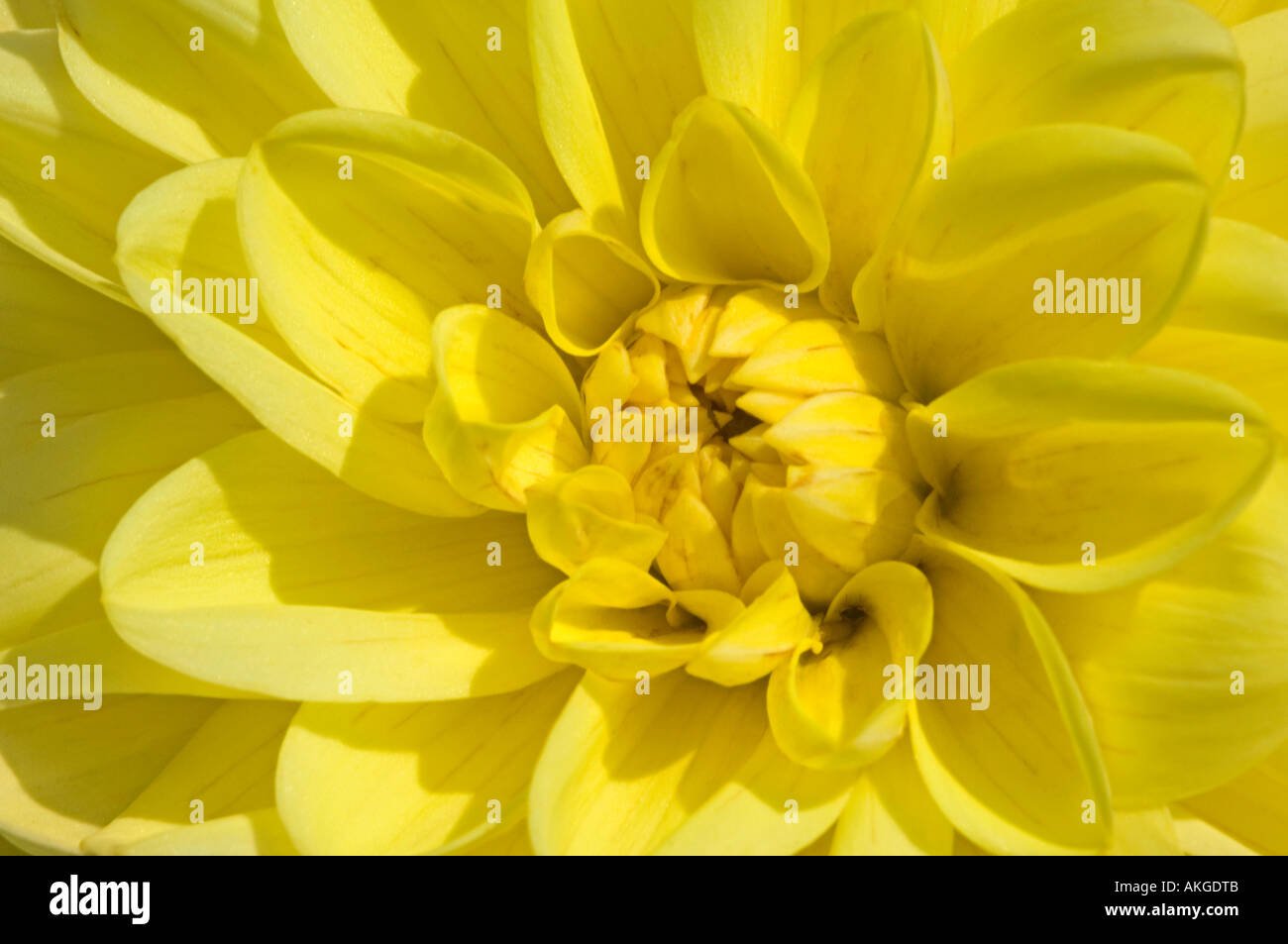 Aug 2006 hi-res stock photography and images - Alamy