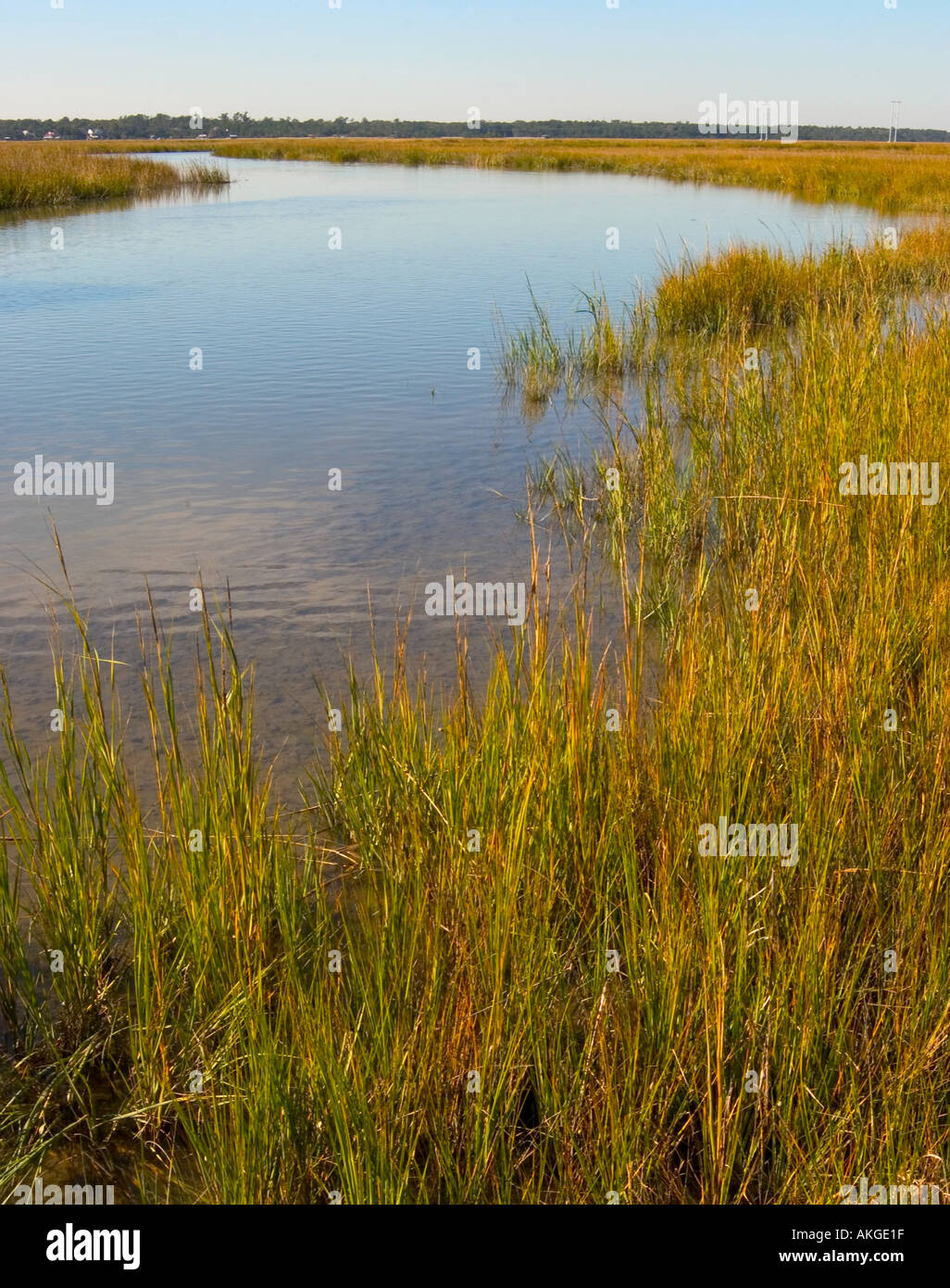 Stono river hi-res stock photography and images - Alamy