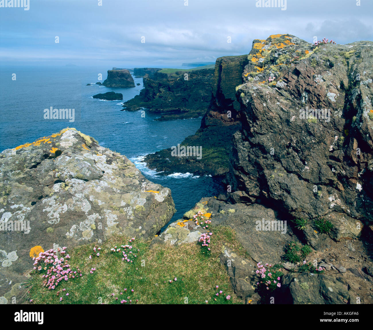 Eshaness Cliffs Shetland UK Stock Photo - Alamy