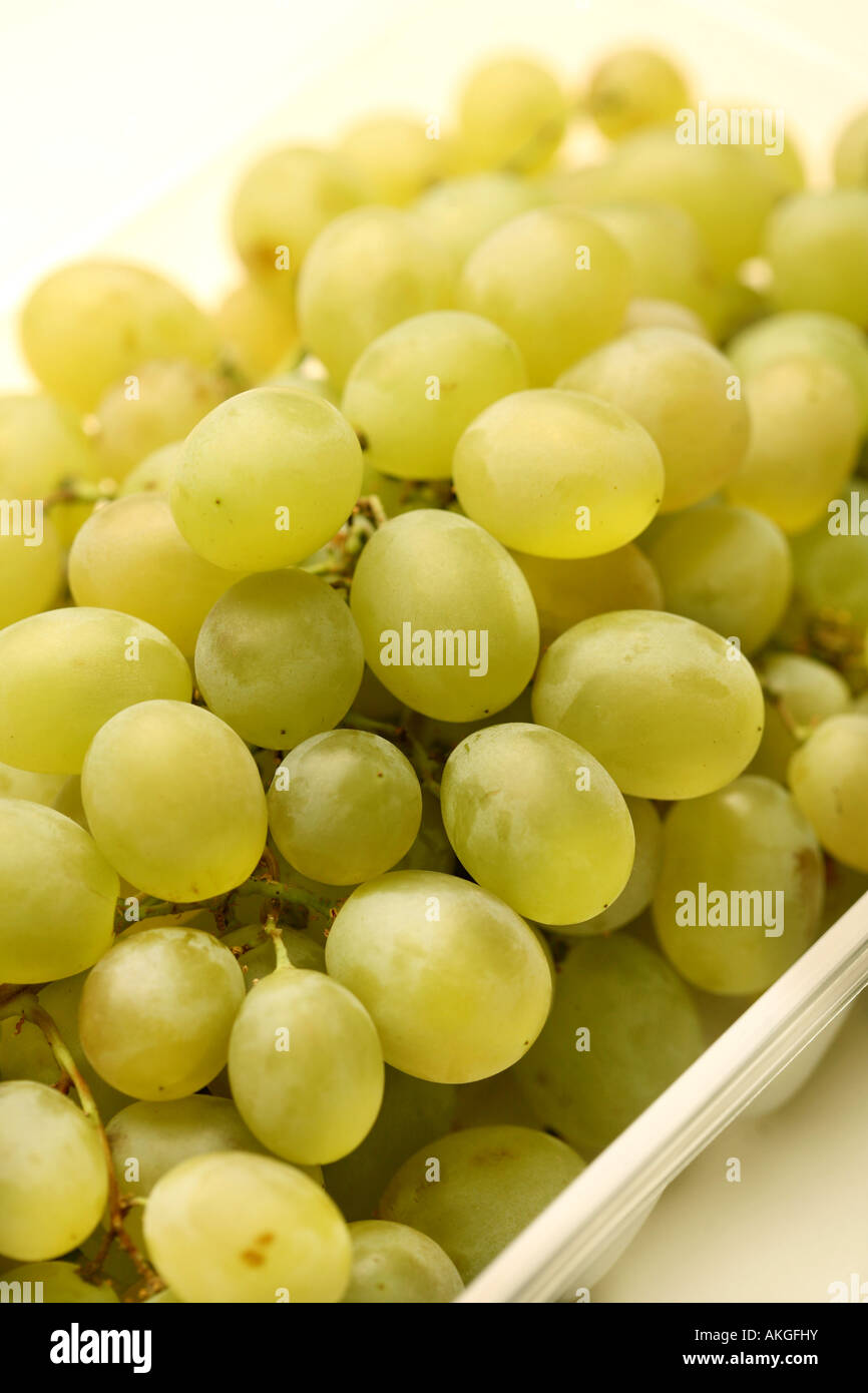 Regina grapes hi-res stock photography and images - Alamy