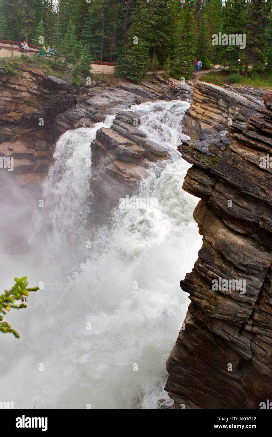 Athabasca Falls in Jasper National Park Alberta Canada Stock Photo - Alamy