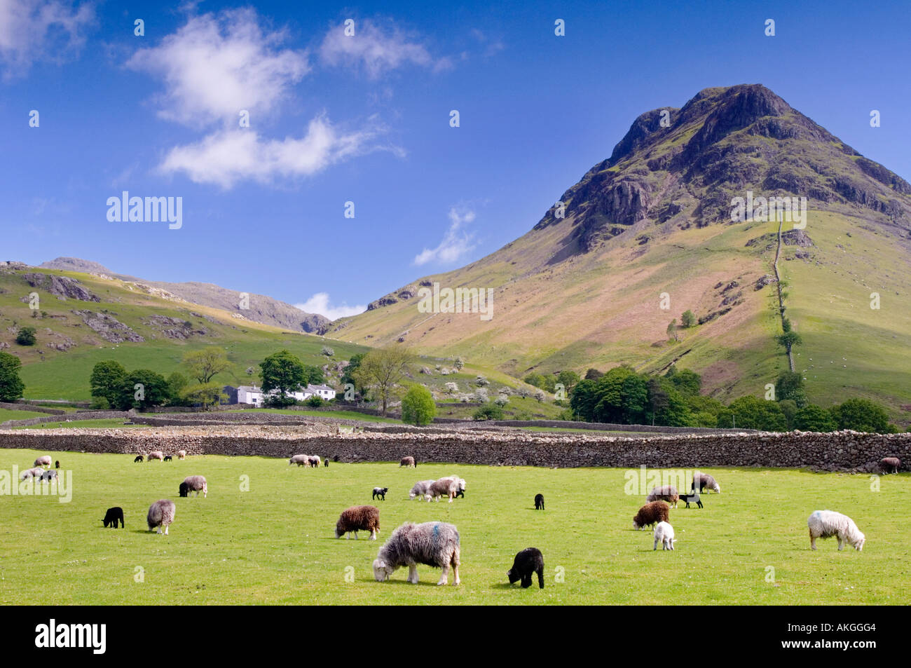 Yewbarrow hillside hi-res stock photography and images - Alamy