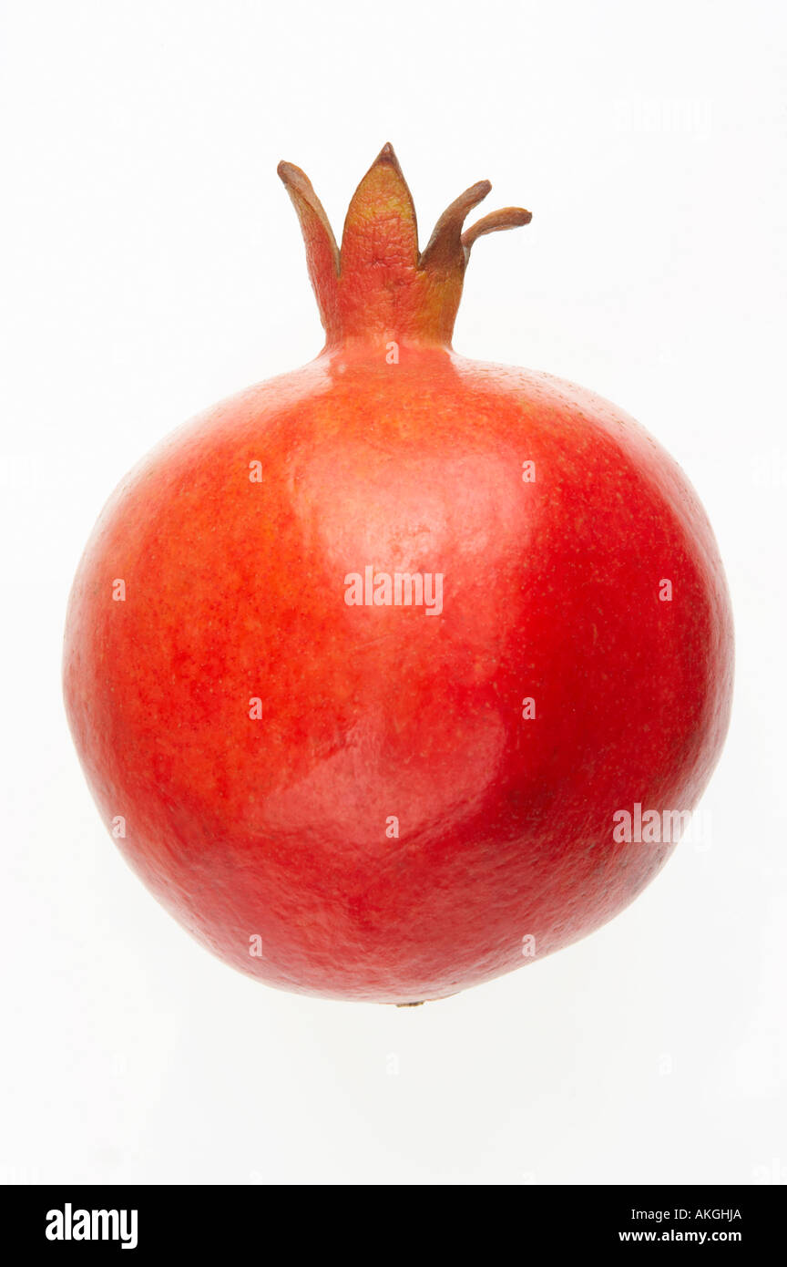 SINGLE POMEGRANATE ON WHITE BACKGROUND Stock Photo - Alamy