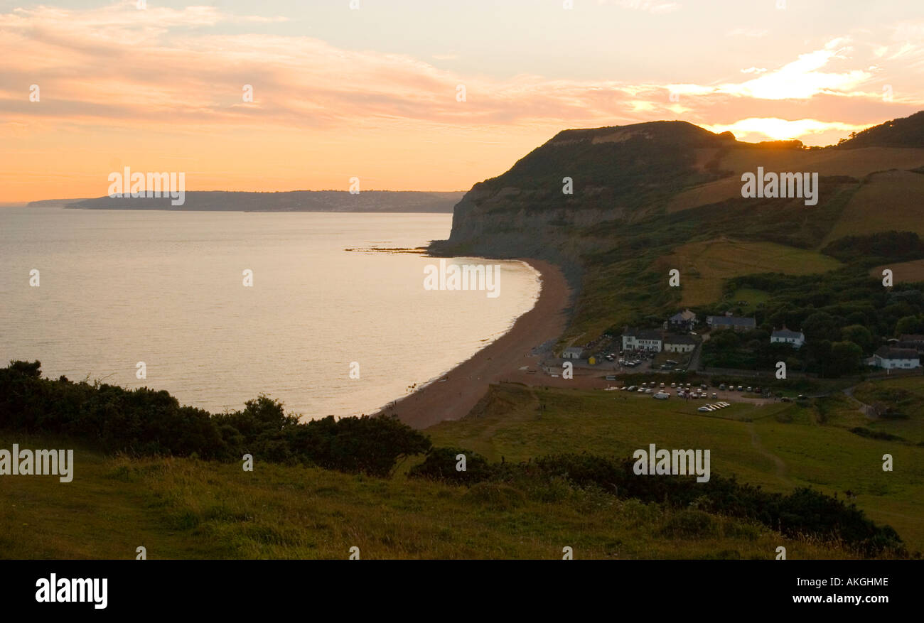 Golden Cap Estate High Resolution Stock Photography and Images - Alamy