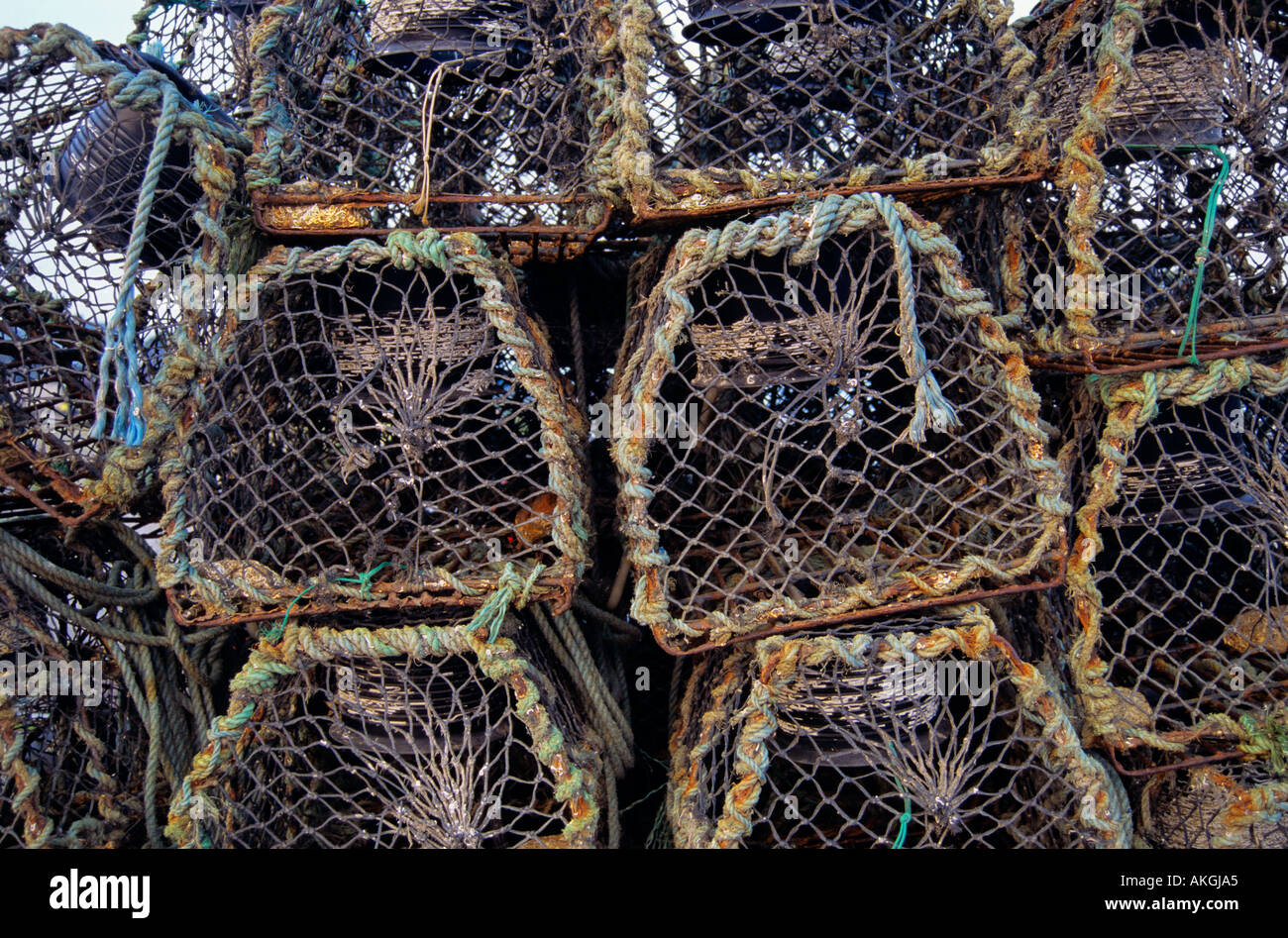 Fishing with traps and fishing lines hi-res stock photography and ...