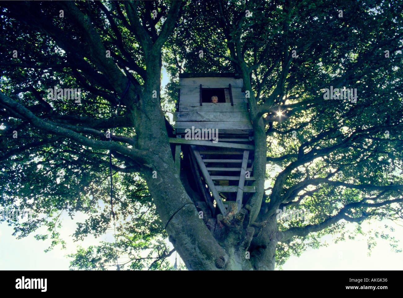 Boy in tree house Stock Photo - Alamy