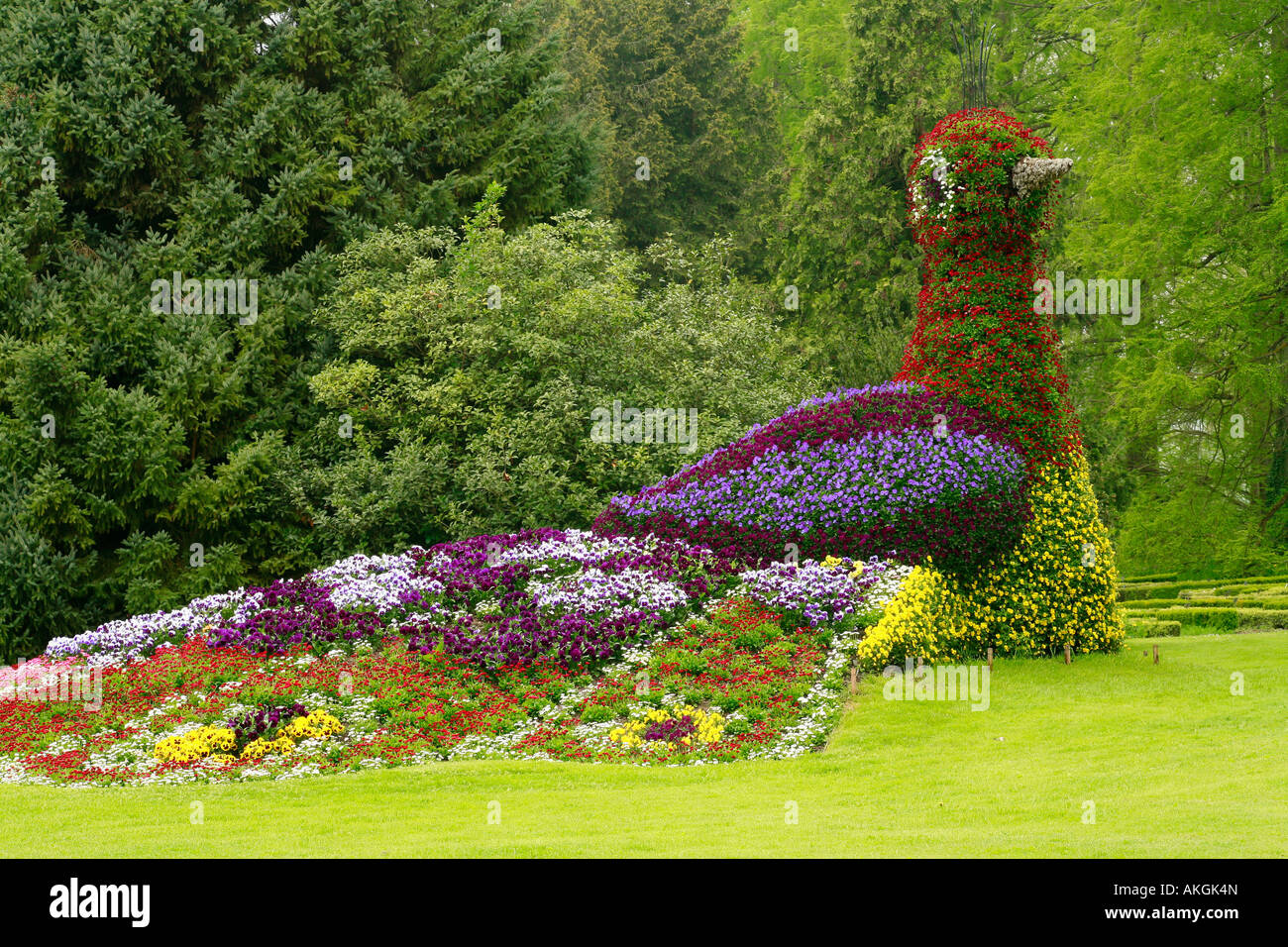 Floral sculpture, Isola di Mainau, Germany, Europe Stock Photo - Alamy