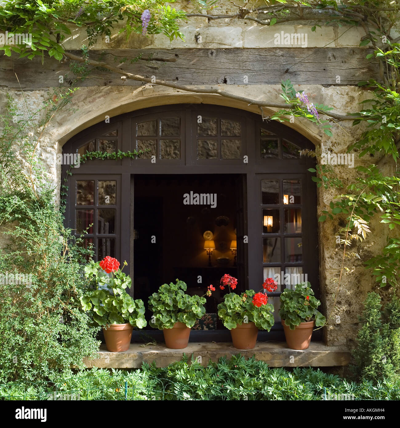 Decorated restaurant window, red geranium flowers, Pérouges medieval ...
