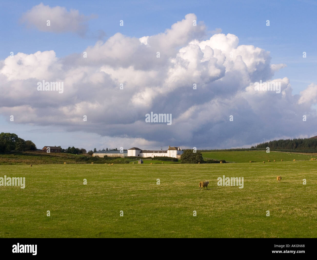 Isolated coastal farm at Kilberry Argyll Scotland Stock Photo - Alamy