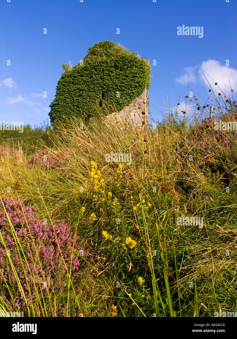 Tarbert Castle High Resolution Stock Photography and Images - Alamy