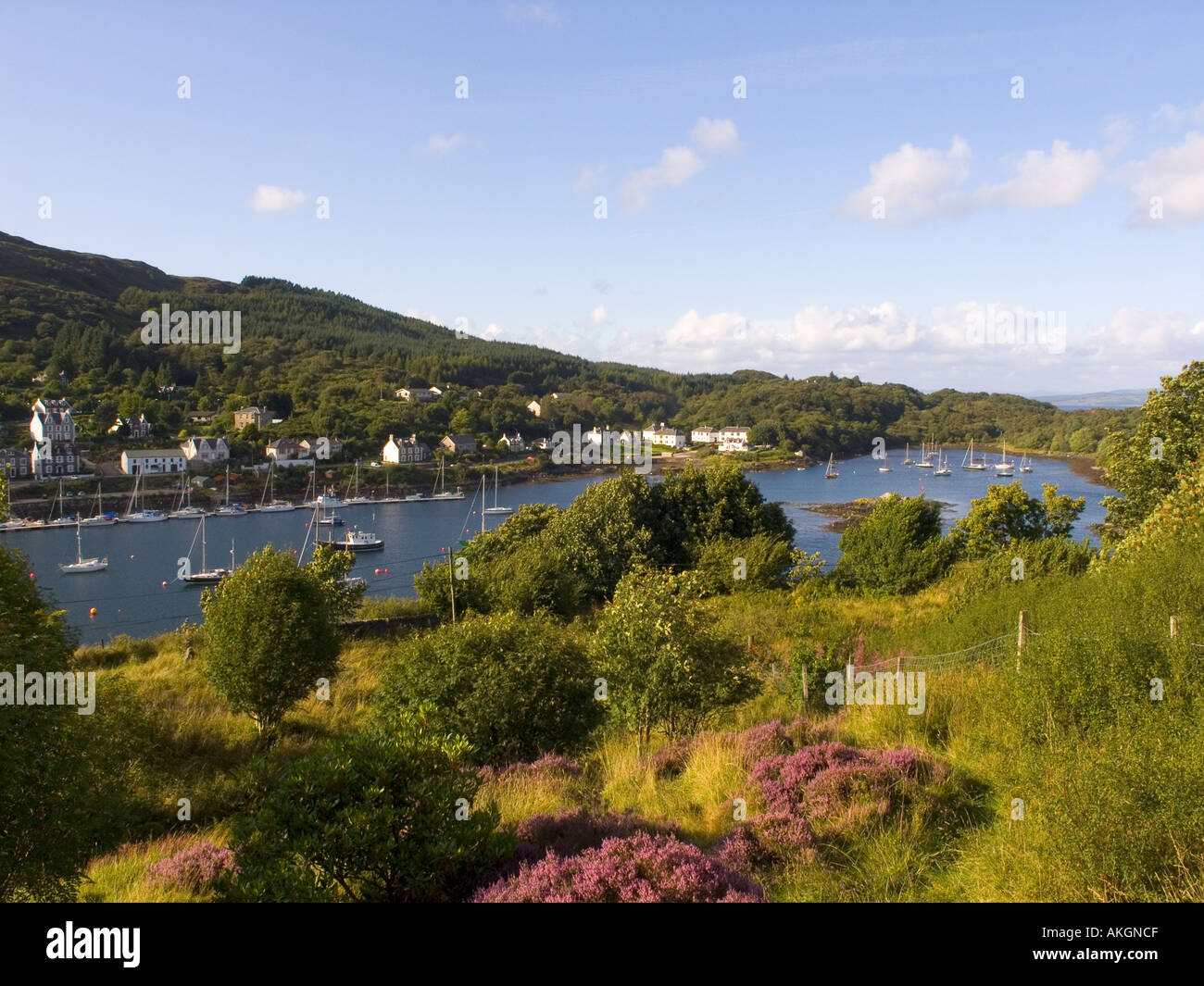 Tarbert harbour and Loch Fyne from the castle Tarbert Argyll Scotland ...
