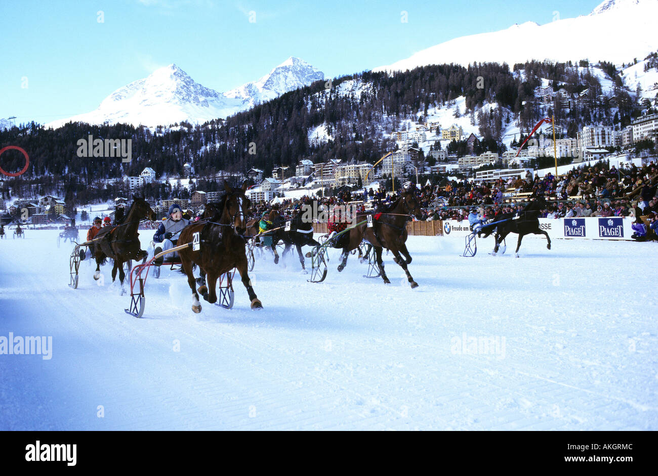 St moritz horse hi-res stock photography and images - Alamy