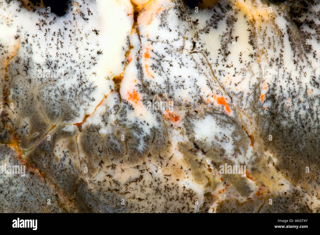 dendritic agate cut rock detail Stock Photo - Alamy