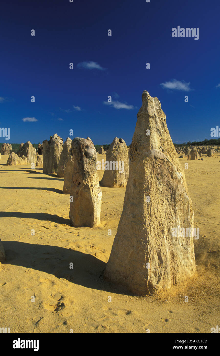 Limestone pillars shape landscape of the Pinnacles Desert Nambung NP ...