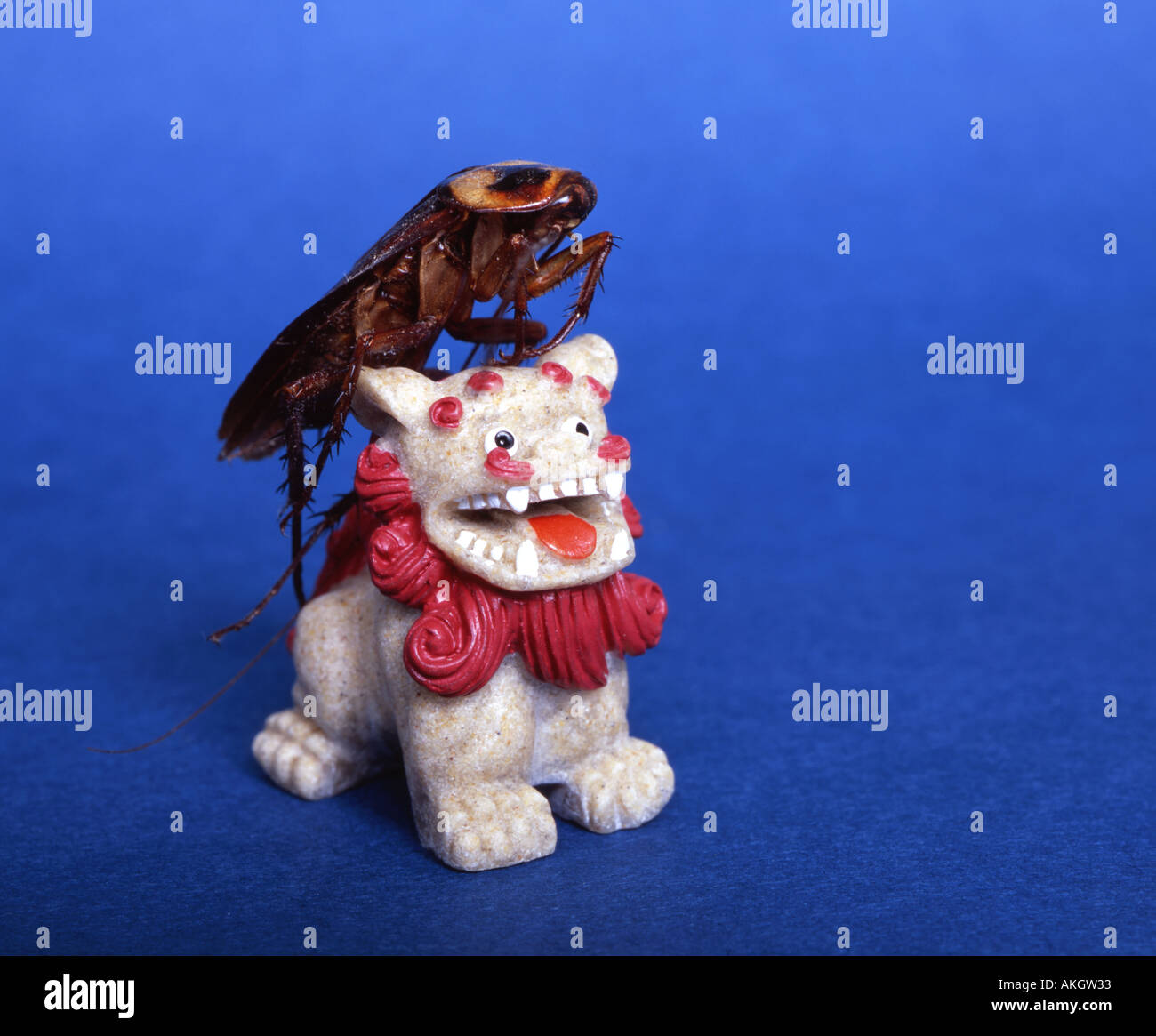 Cockroach and Okinawan Shisa statue Stock Photo - Alamy