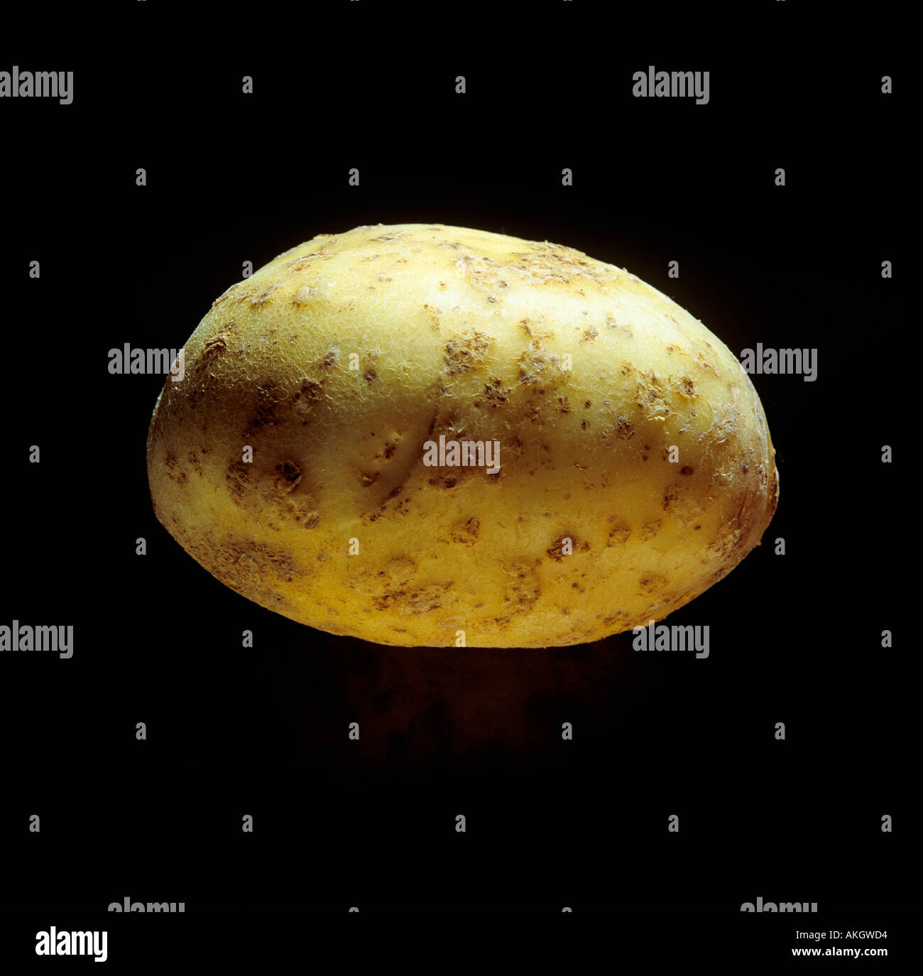 Displaywindow hi-res stock photography and images - Alamy