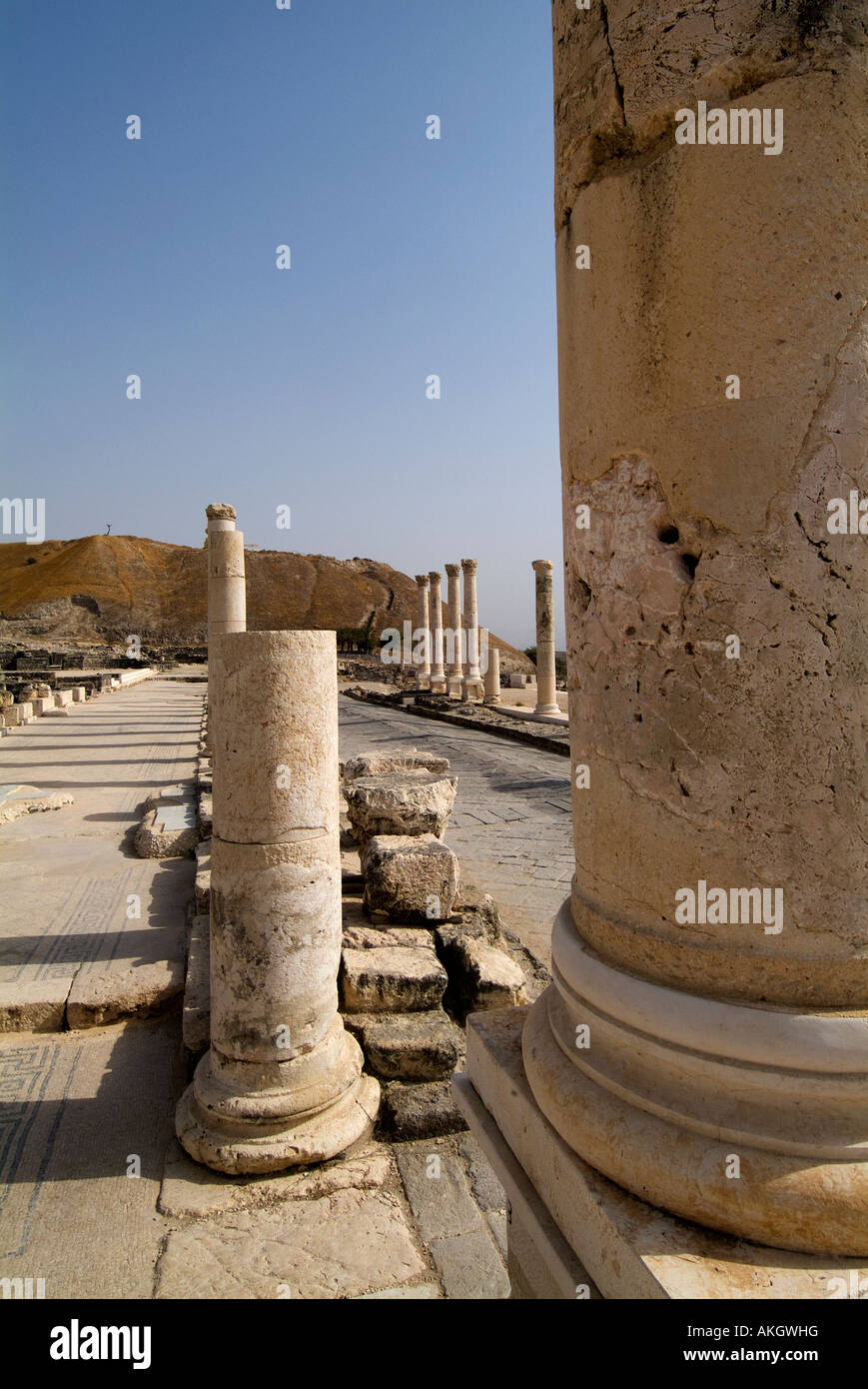roman columns linning main street of bet shean,Israel Stock Photo - Alamy