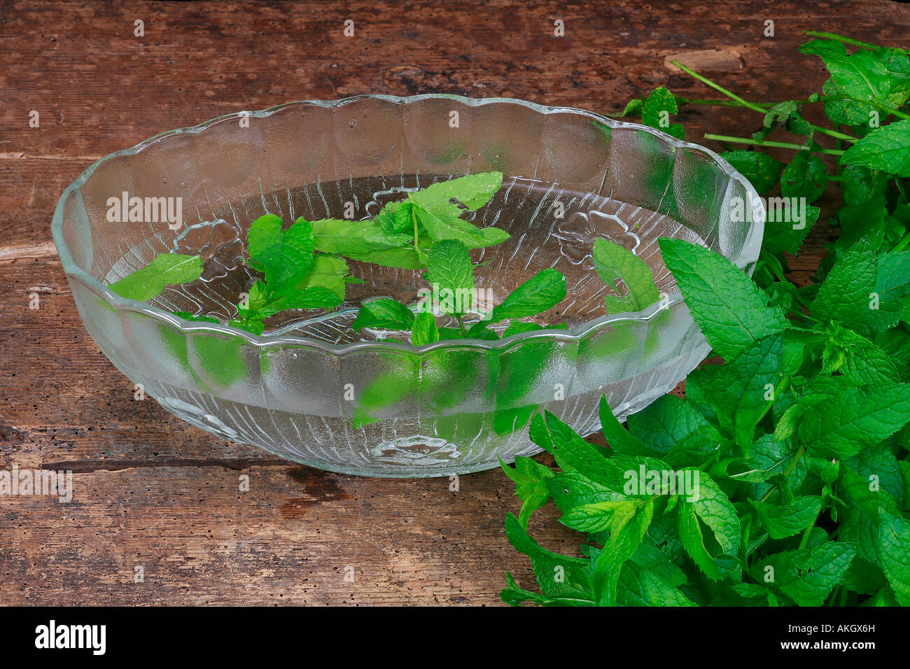 Preparazione per infuso Stock Photo - Alamy