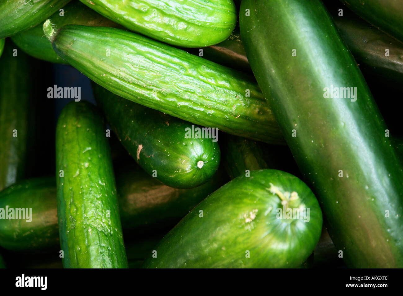 Cucumbers in summer hi-res stock photography and images - Alamy