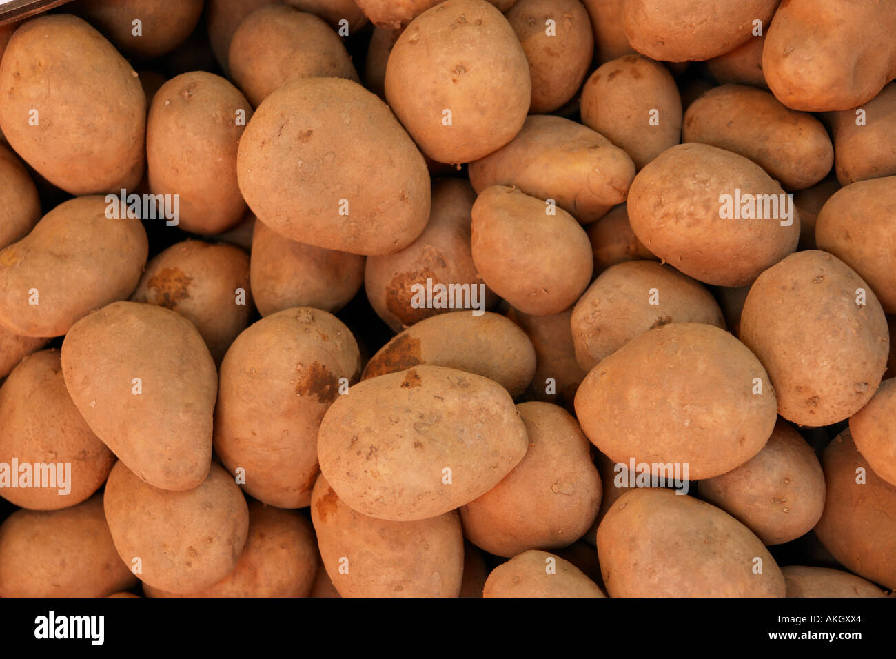 Pentland dell potato hi-res stock photography and images - Alamy