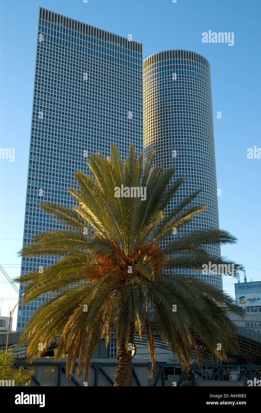 Israel Tel Aviv Azrieli Towers vertical view with beautiful palm tree ...