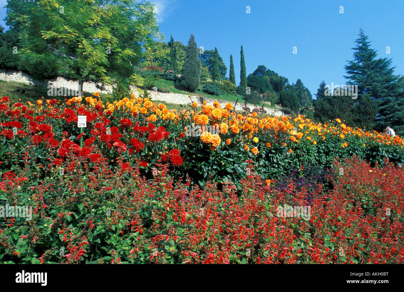 Garden with dahlias, Insel Mainau, Germany Stock Photo - Alamy