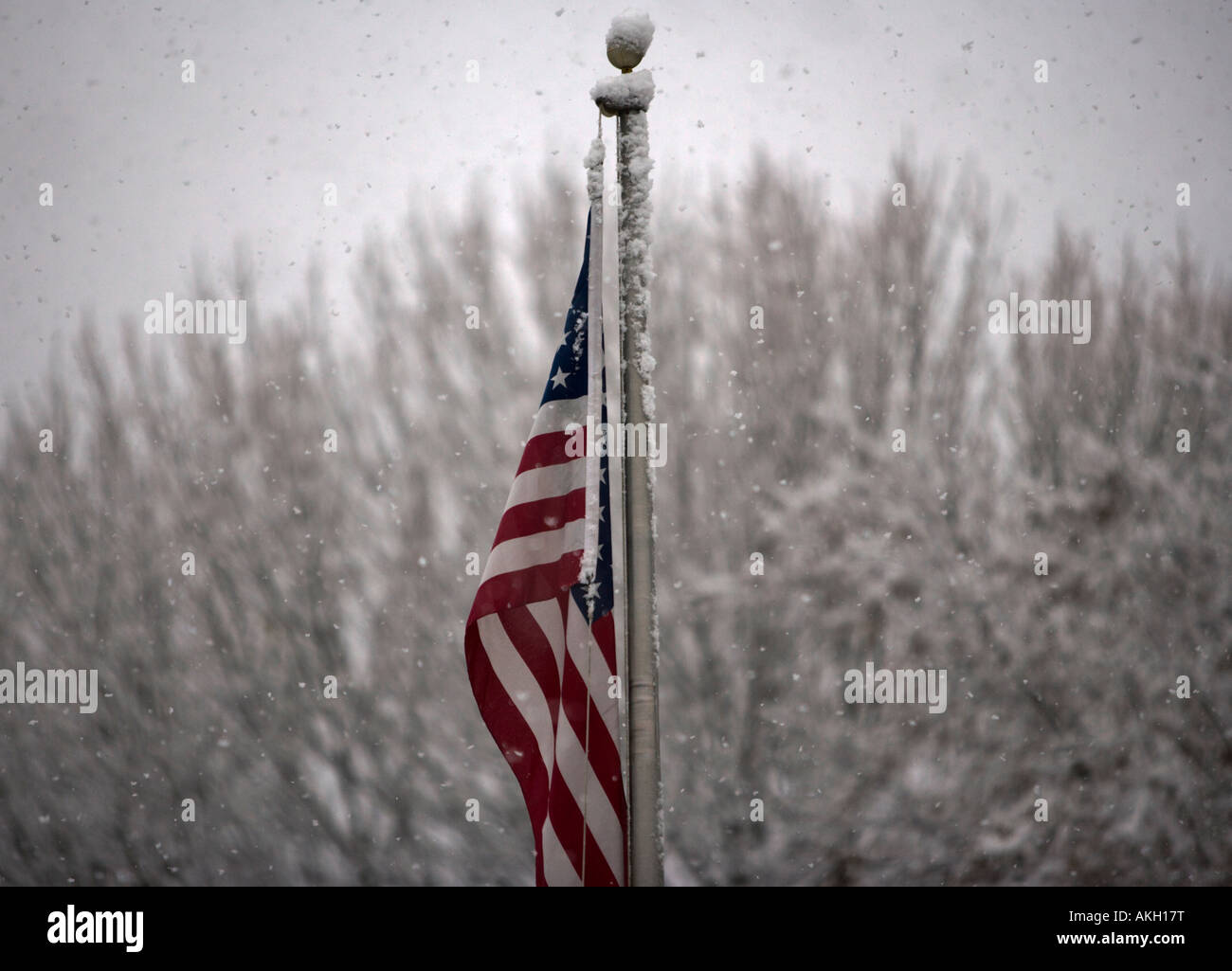 American flag on a snowy day Stock Photo - Alamy