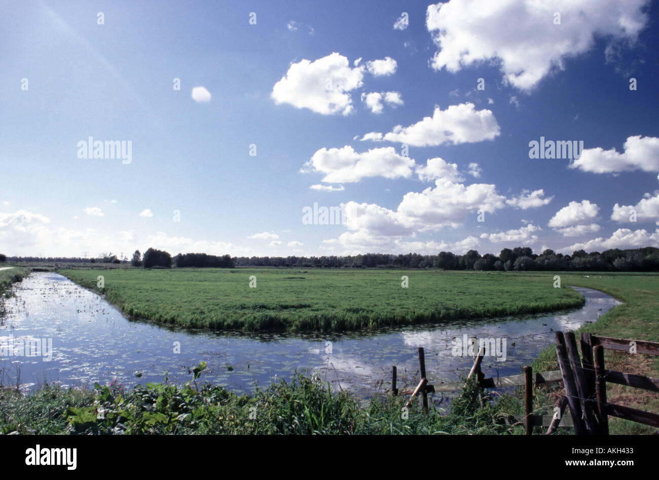 Typical Dutch scene of the Biesbos Stock Photo - Alamy