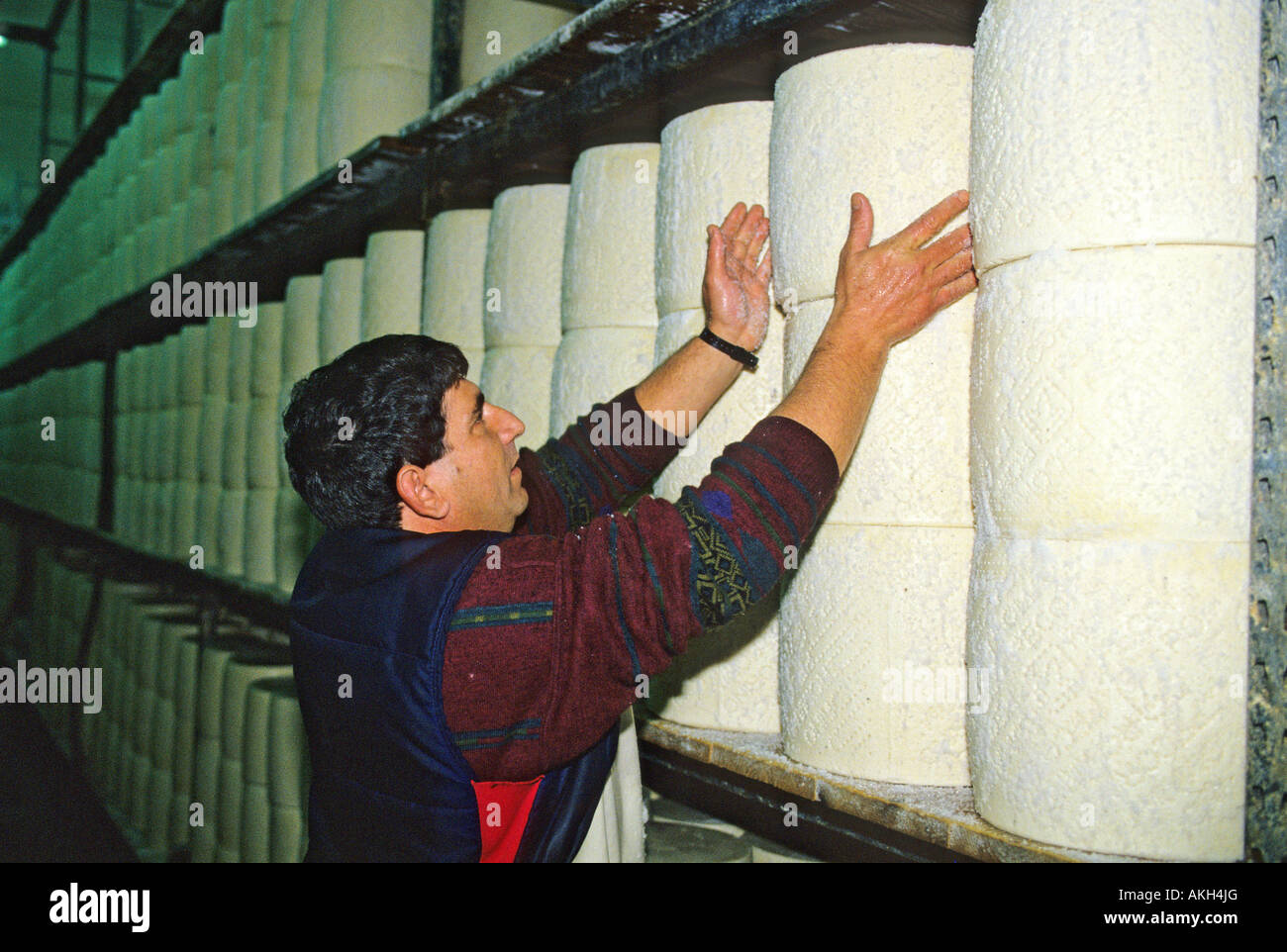 Storage, Pecorino cheese, Macomer, Sardinia, Italy Stock Photo - Alamy