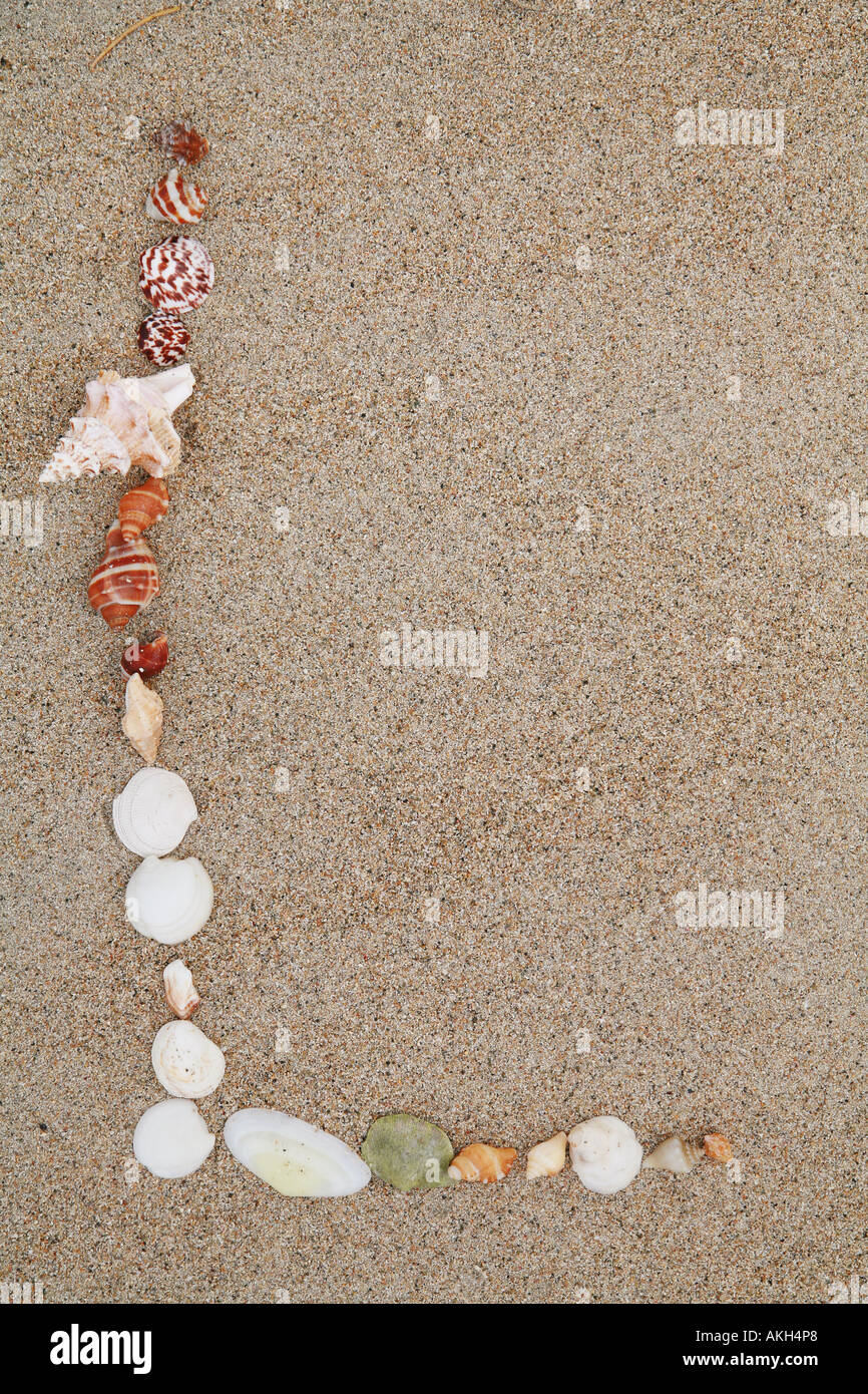 beautiful shells on very nice beach Stock Photo - Alamy