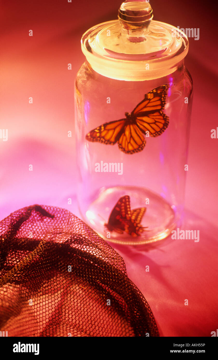 Insect killing bottle hi-res stock photography and images - Alamy