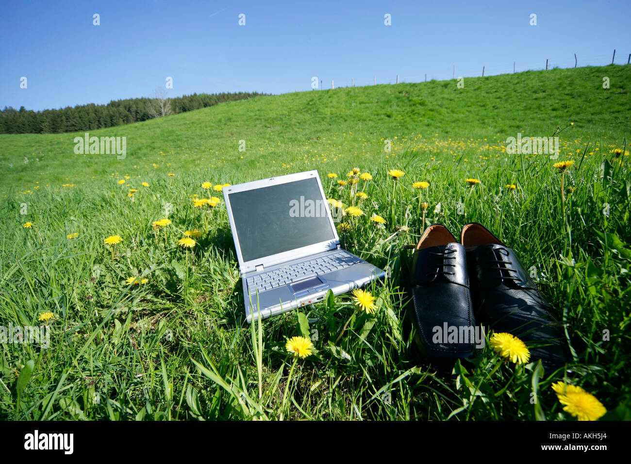 laptop in grass as a symbol for fieldwork leisure or holiday Stock ...