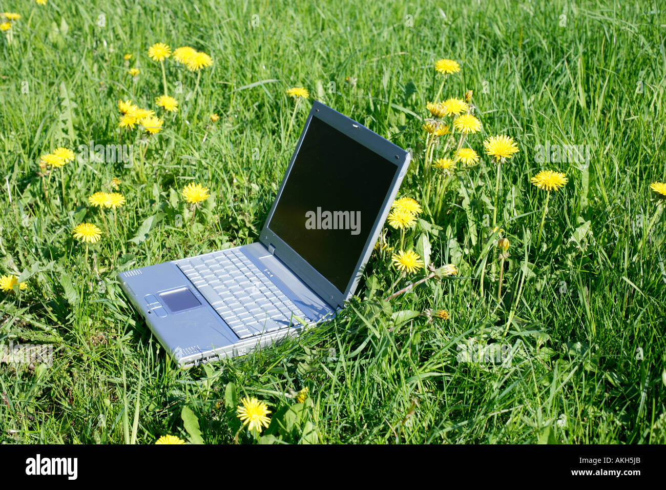 laptop in grass as a symbol for fieldwork leisure or holiday Stock ...