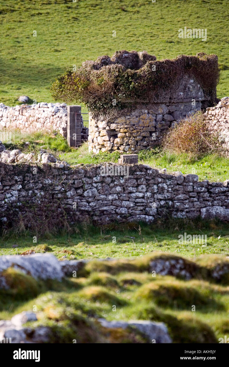 Ireland The Burren Stock Photo - Alamy