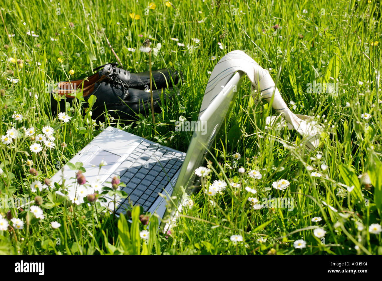 laptop in a spring field Stock Photo - Alamy