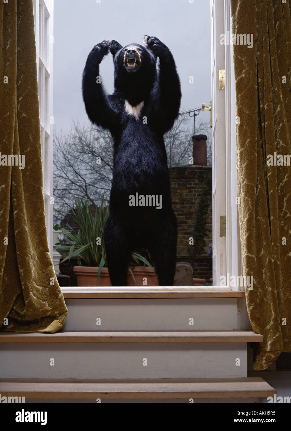 Stuffed bear at the window Stock Photo - Alamy