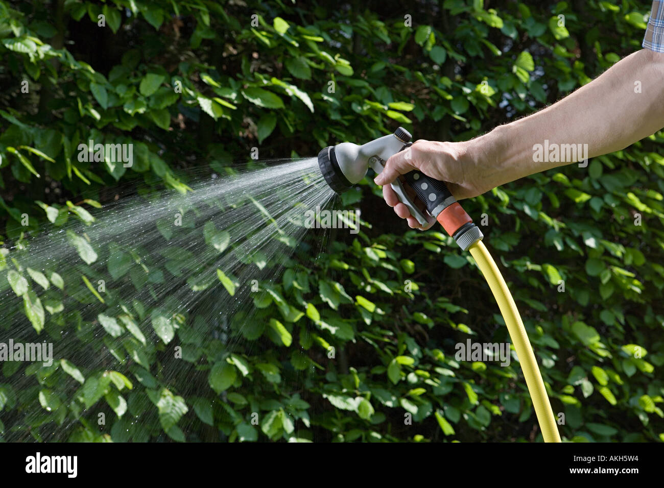 Person using a hosepipe hi-res stock photography and images - Alamy