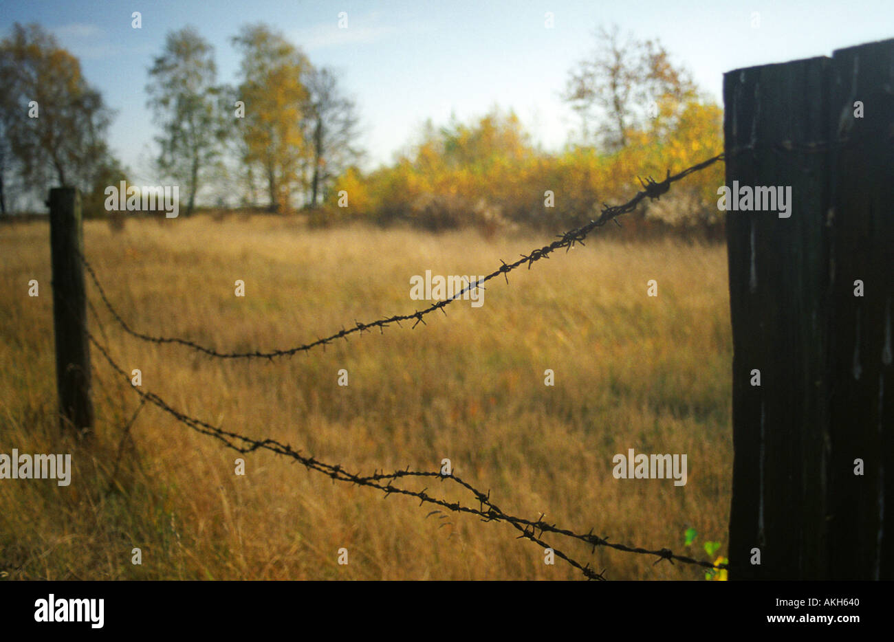 Spikey wire hi-res stock photography and images - Alamy